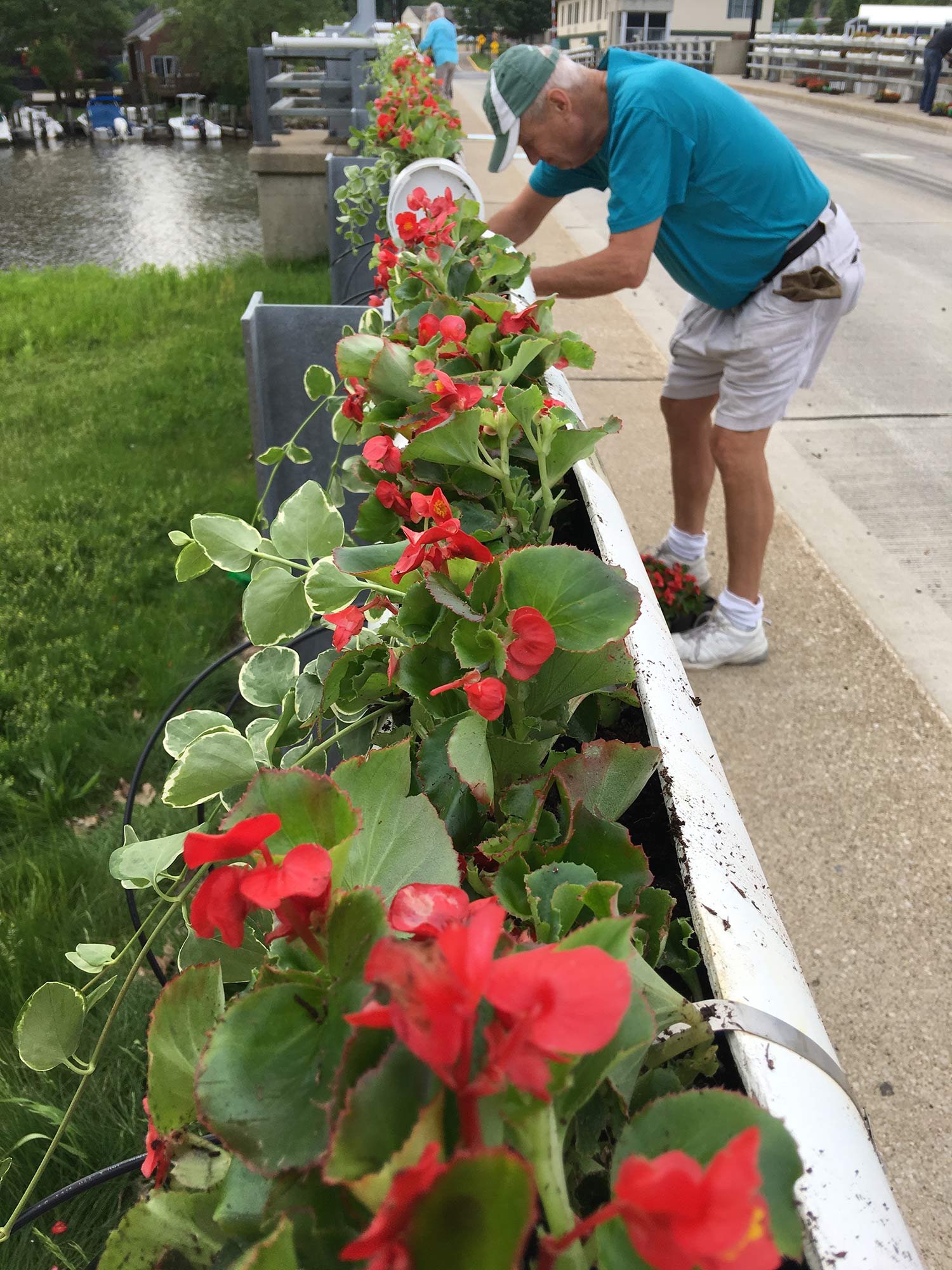 Ways You Can Help - SHOUT for South Haven